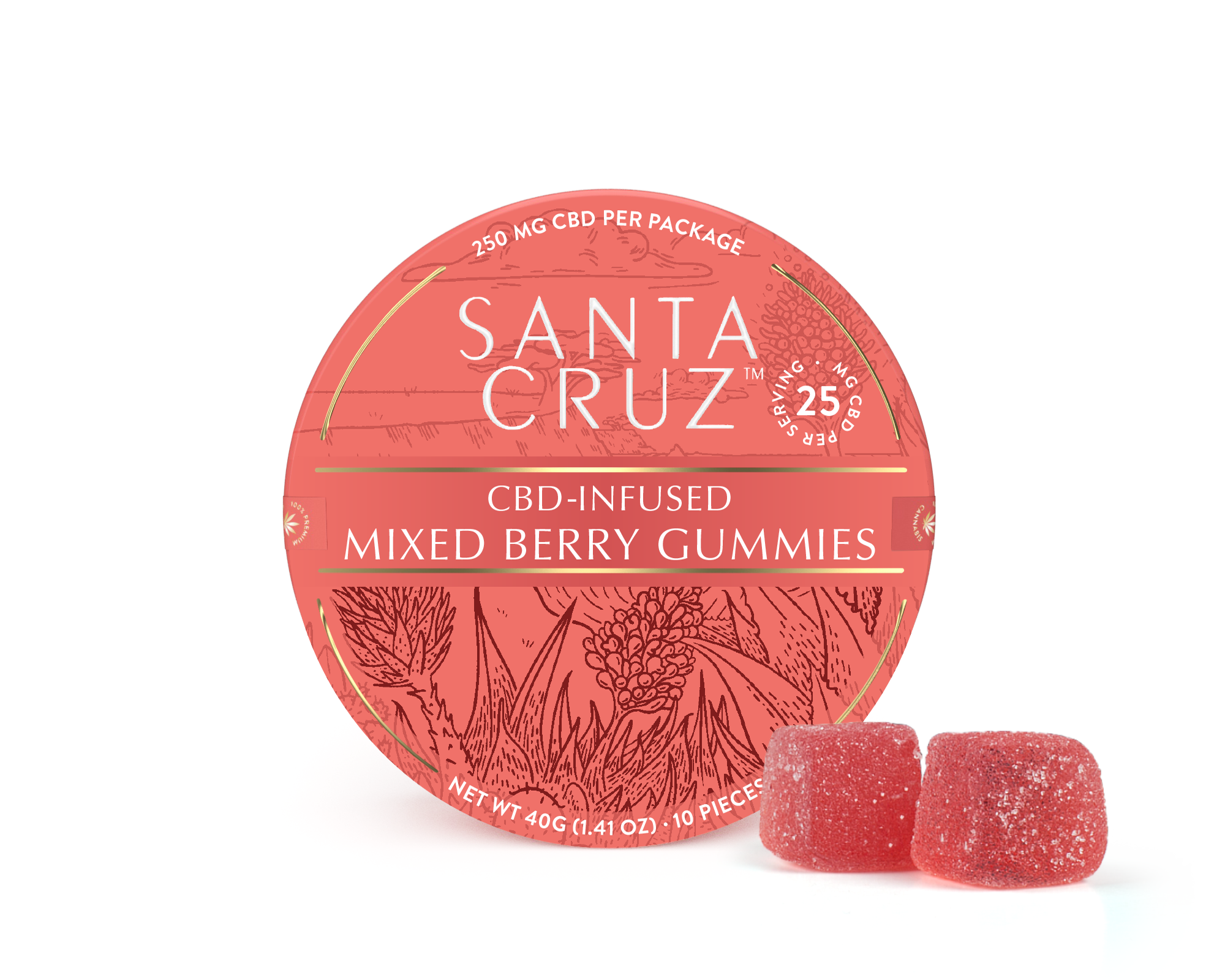 CBD Mixed Berry Gummies – Santa Cruz